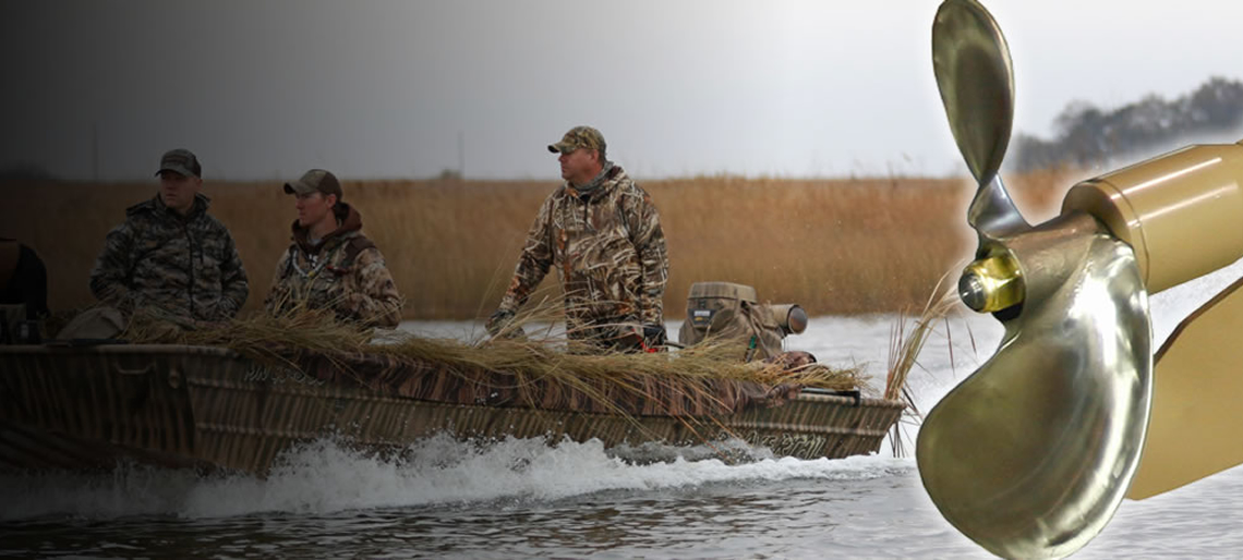Home - Explore Beavertail
